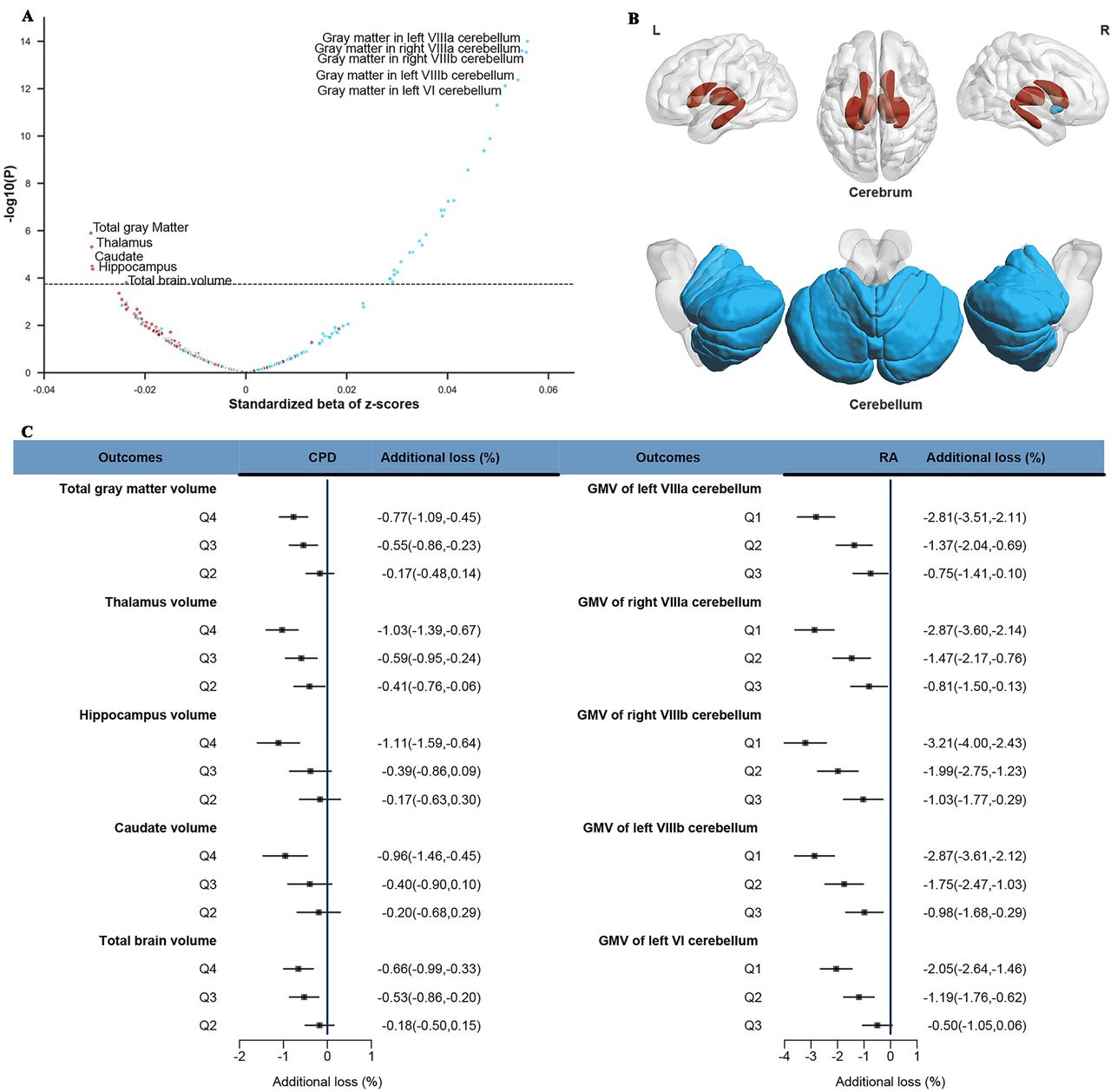 Identification of circadian-sensitive brain structure and its role in ...