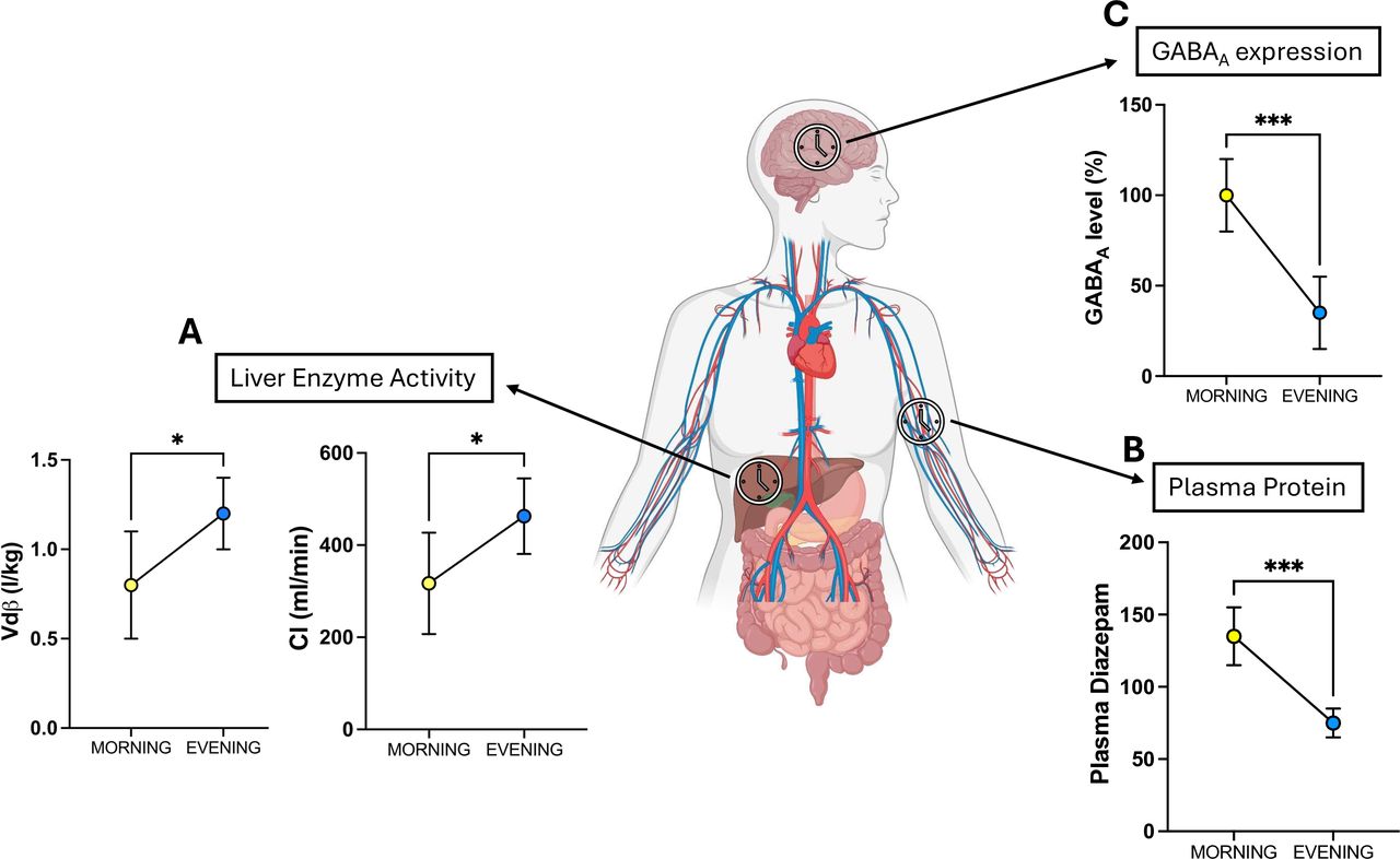Chronotherapeutic considerations of benzodiazepine administration for ...