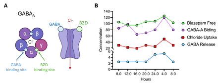 Chronotherapeutic considerations of benzodiazepine administration for ...